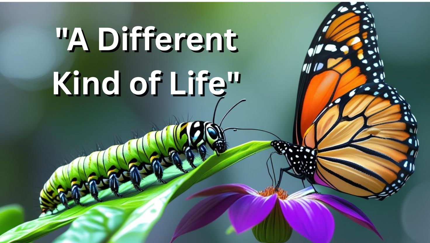 Siren Covenant Church – Our goal is to grow closer to God and each ...